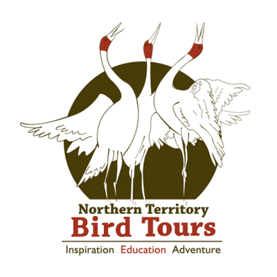 Northern Territory Bird Tours | Inspiration Education Adventure
