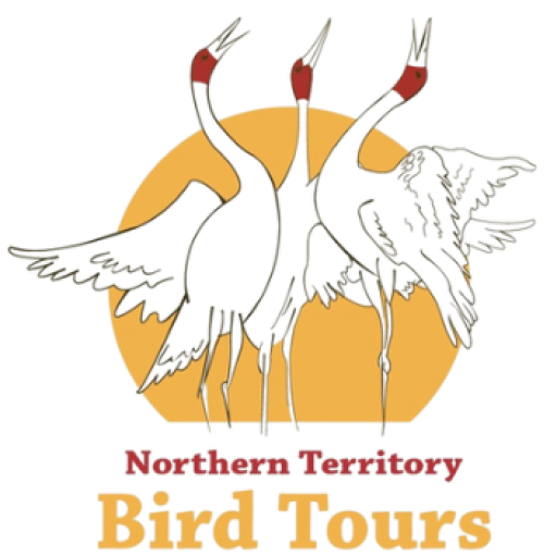 Contact NT Bird Tours | Birdwatching Tours In Darwin & NT